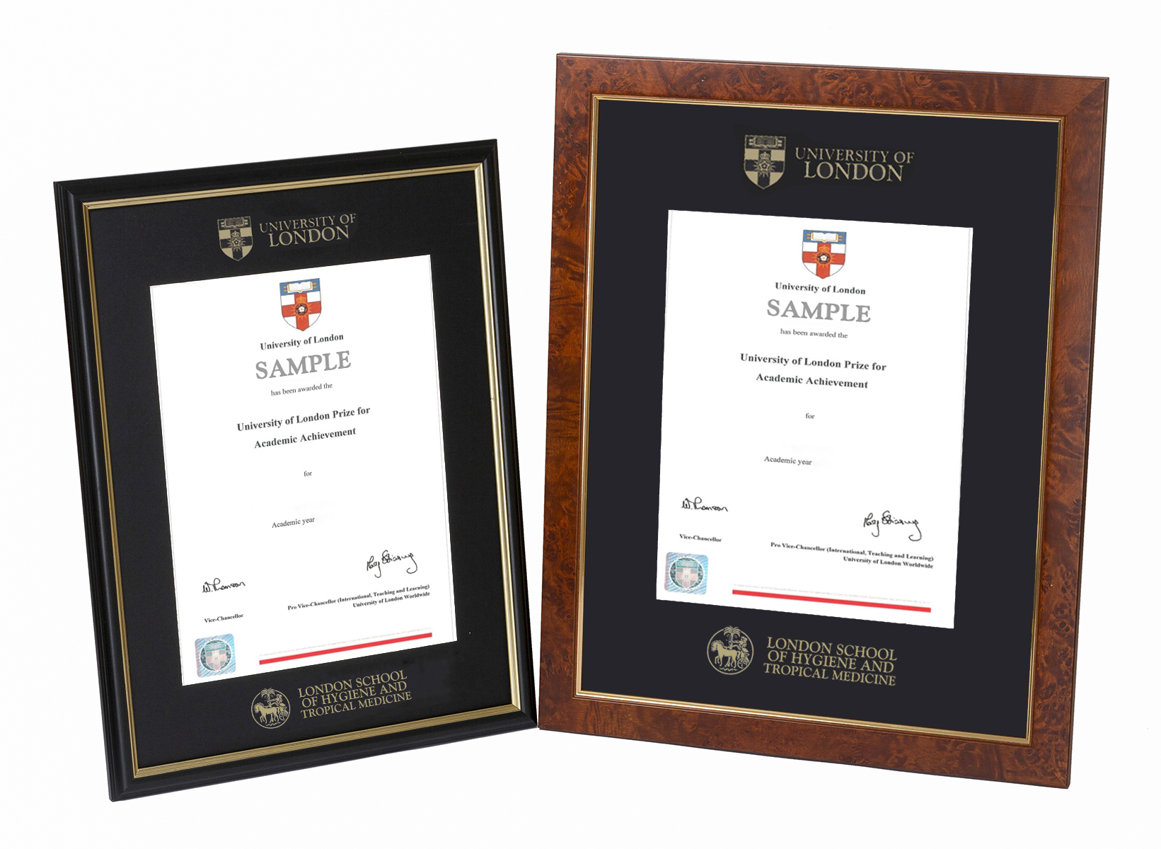 University of London and London School of Hygiene and Tropical Medicine ...